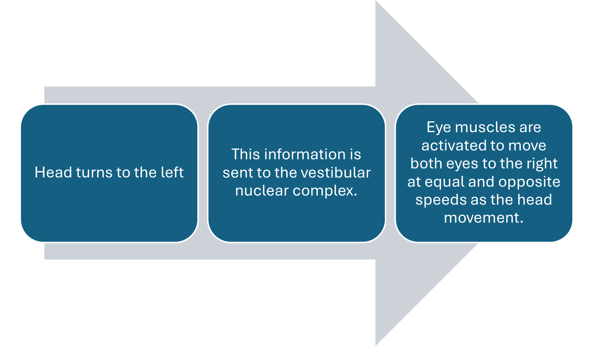 What is Gaze Stability Exercise? – Optimum Health Solutions